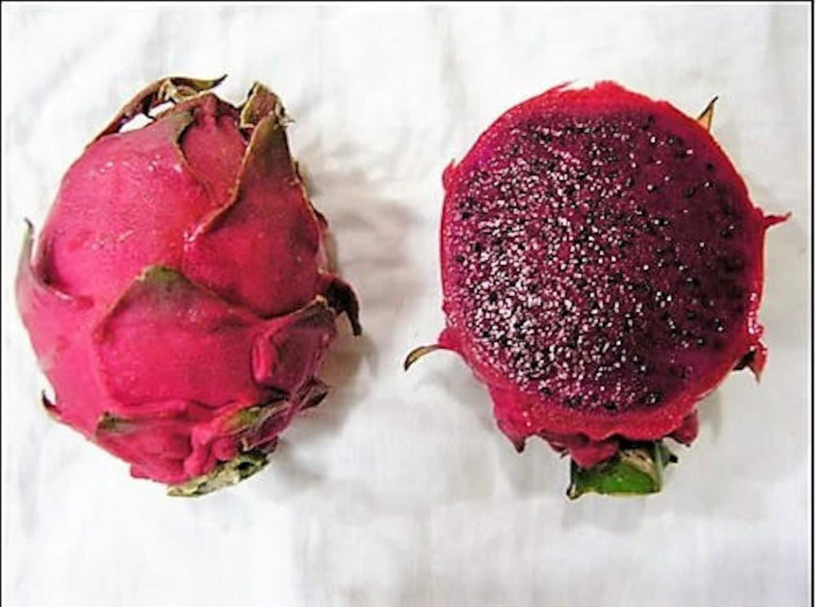 20 PURPLE DRAGON FRUIT pitaya / Pitahaya / Strawberry Pear Hylocereus ...