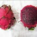 20 PURPLE DRAGON FRUIT pitaya / Pitahaya / Strawberry Pear Hylocereus ...