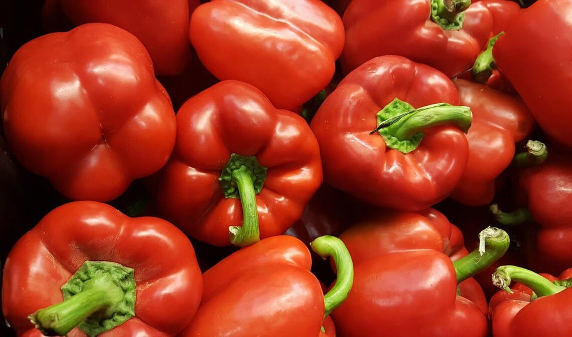 150 BIG RED Bell PEPPER Sweet Capsicum Annuum Vegetable Seeds - Etsy
