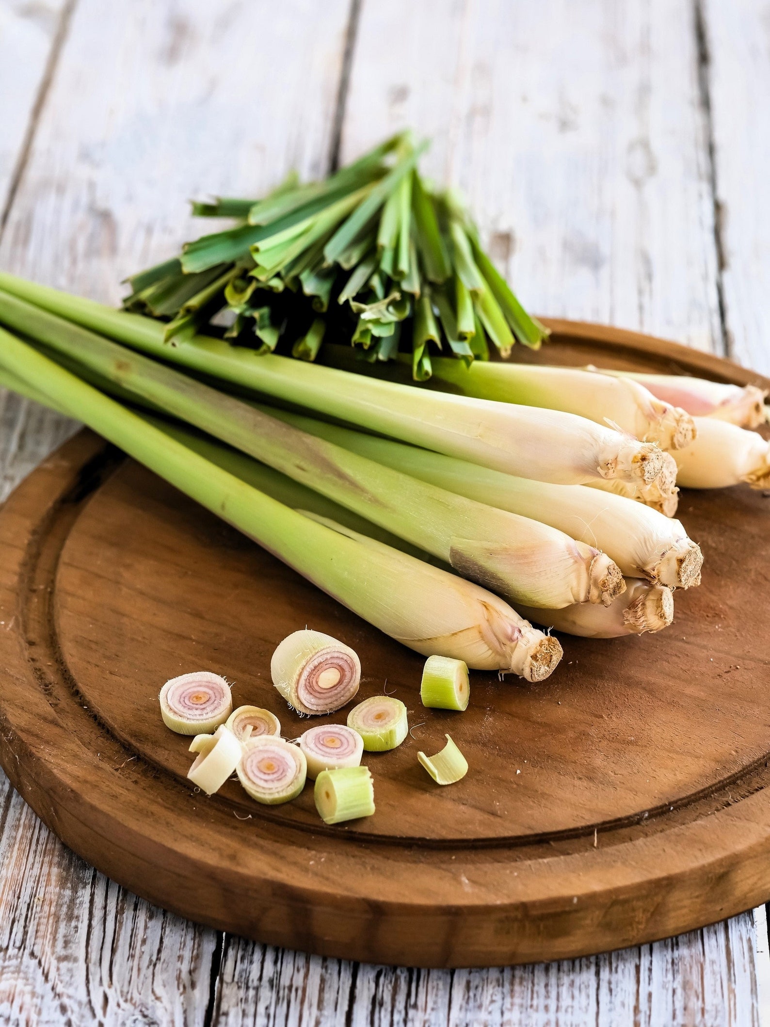 100 LEMONGRASS East Indian Lemon Grass Fragrant Ornamental Edible ... 100 LEMONGRASS East Indian Lemon Grass Fragrant Ornamental Edible ...