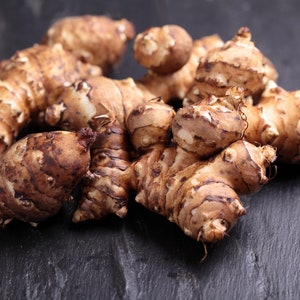 20 * Seeds JERUSALEM ARTICHOKE Sunchoke Sunroot Helianthus Tuberosus ...