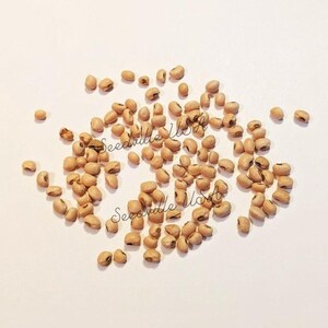 100 LADY COWPEA Cow Pea Southern Pea Vigna Unguiculata Legume White ...