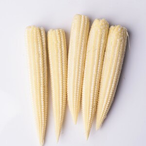 75 Japanese WHITE HULLESS POPCORN or Baby Corn Zea Mays Heirloom ...