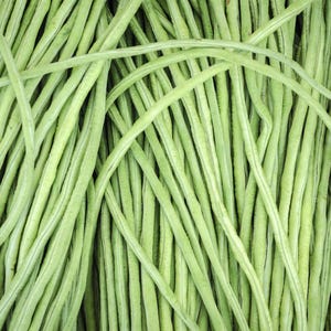 100 LADY COWPEA Cow Pea Southern Pea Vigna Unguiculata Legume White ...