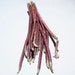100 RED RIPPER COWPEA Cow Pea Southern Pea Vigna Unguiculata Legume ...