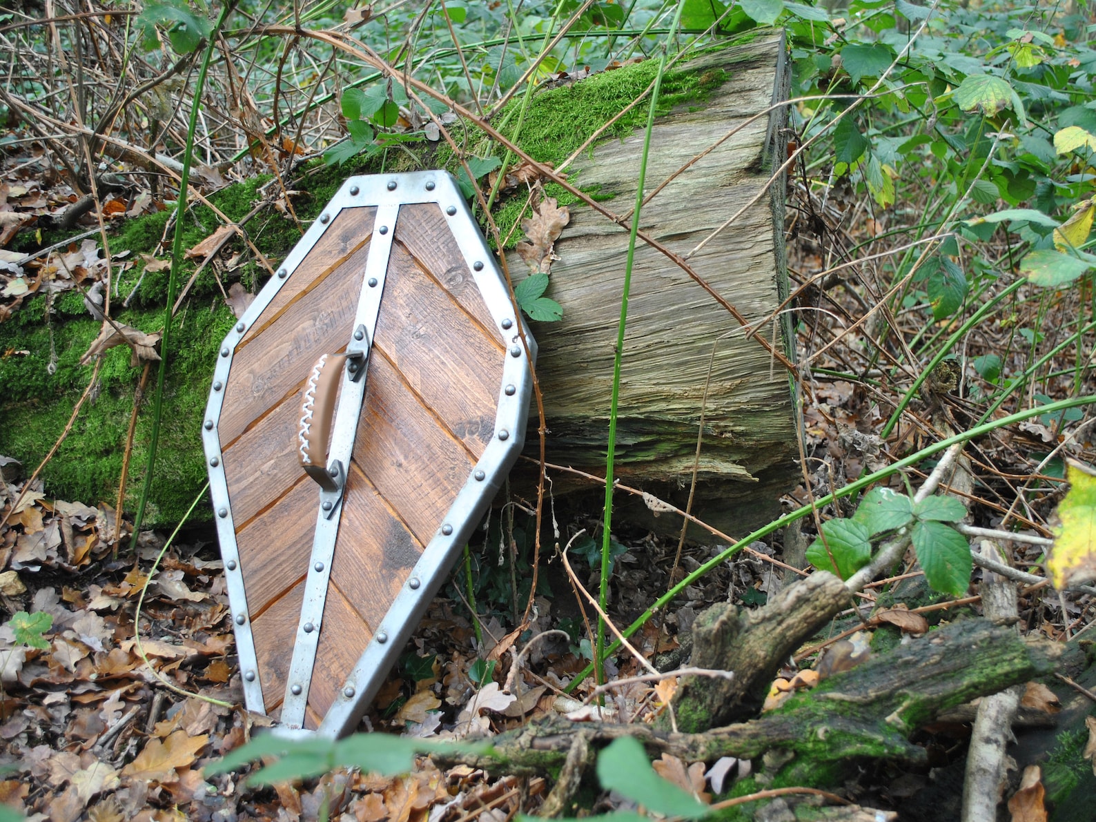 Steel, Wood and Leather Imperial Light Shield Replica - Etsy