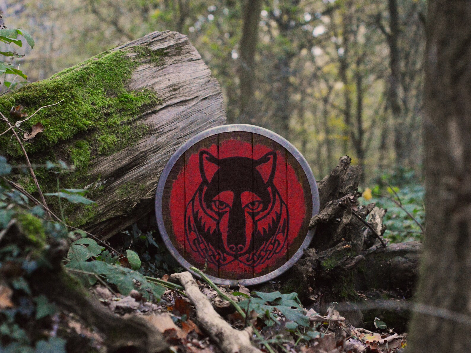 Steel Wood and Leather Skyrim Solitude Hold Shield Replica - Etsy