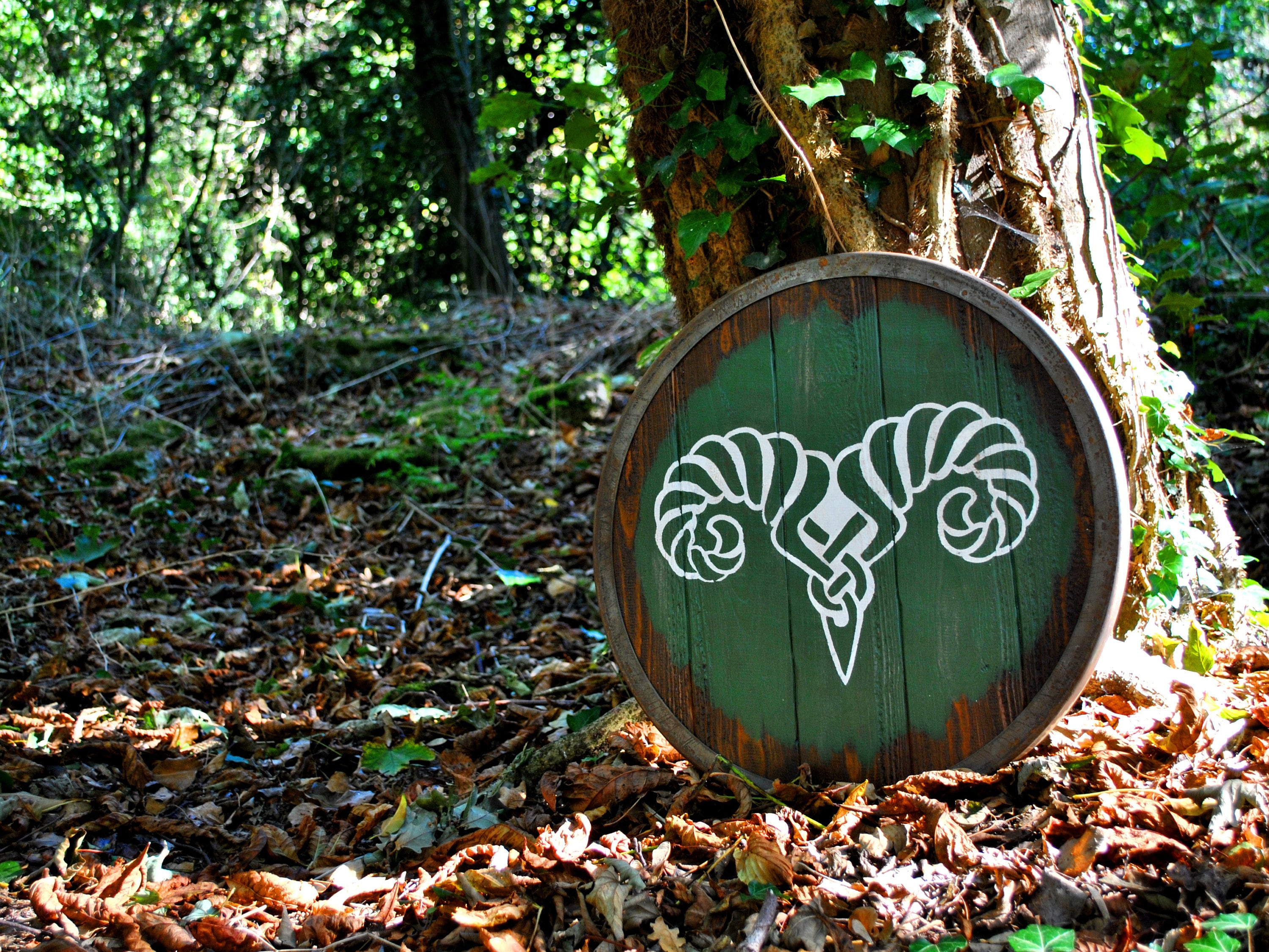 Steel Wood and Leather Skyrim Markarth Hold Shield Replica - Etsy