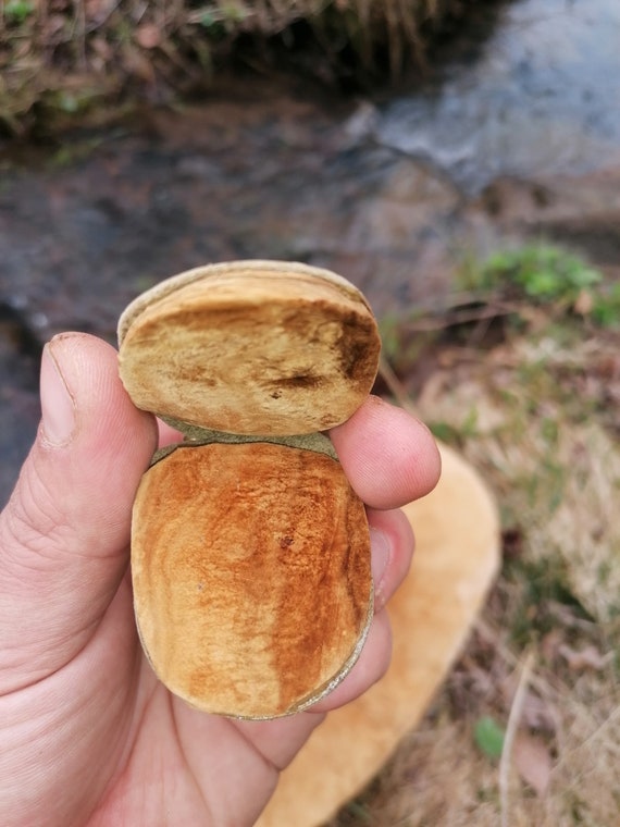 Amadou Fly Drying Patch for Fishing - Etsy