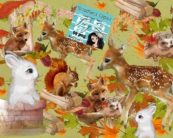 Forest Friends Clipart Images Cute Woodland Animal Portraits - Etsy