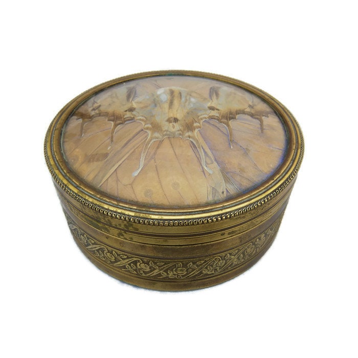 Vintage Ornate Brass Round Trinket Box with Real Butterfly Wings Decor ...