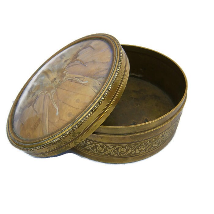 Vintage Ornate Brass Round Trinket Box with Real Butterfly Wings Decor ...