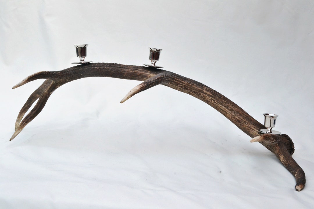 Fantastic Natural Stag Horn Antler & Chrome Plated Candelabra 3 Candle ...