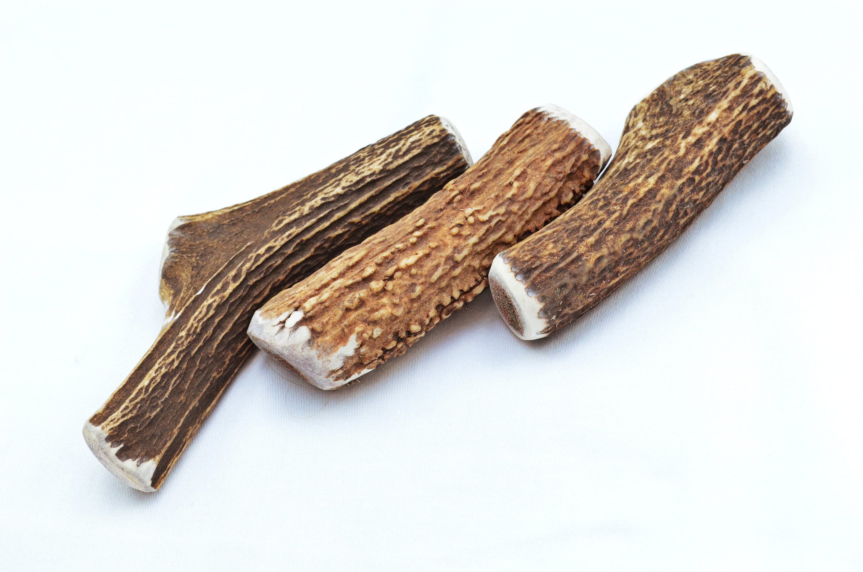 Premium Scottish Stag Horn Antler Dog Chew Naturally Shed Sustainable ...