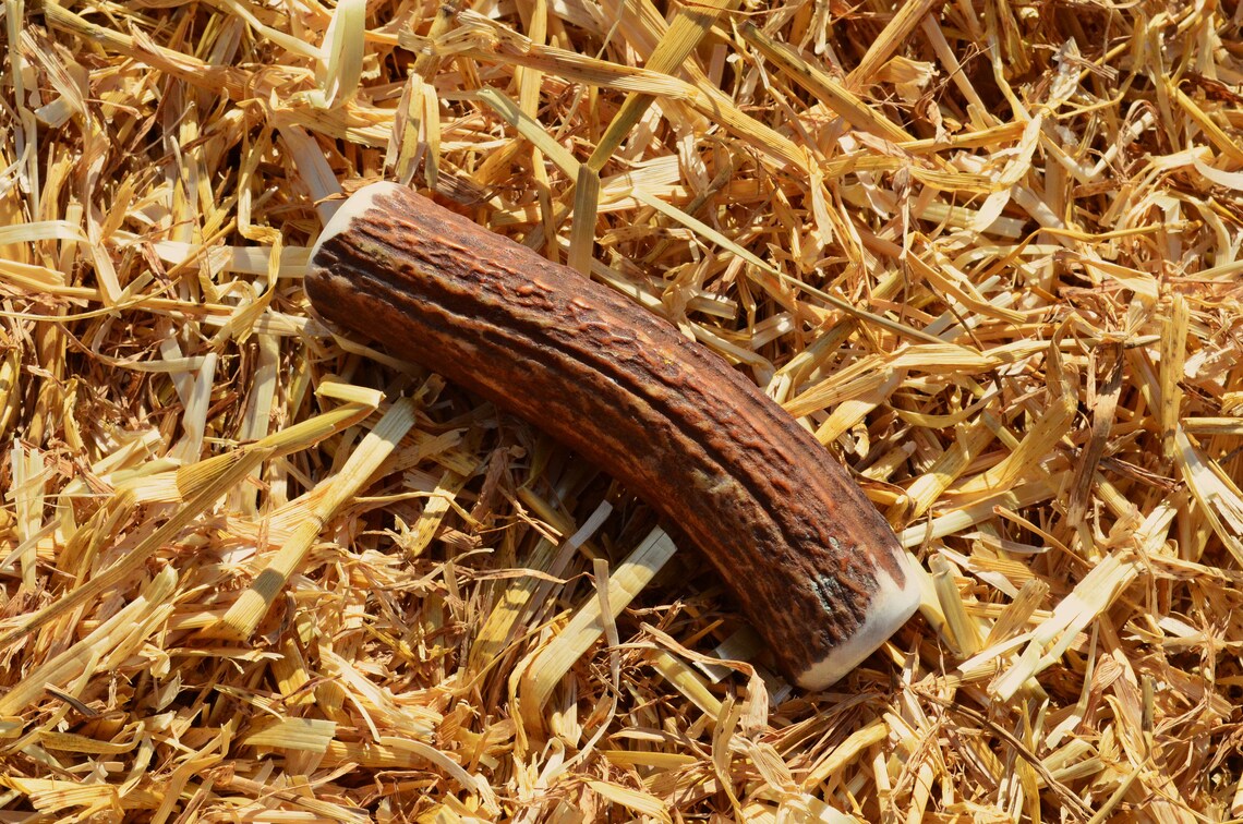Special Dog Treat Box Deer Antler Chews for Dogs All Scottish Red Deer ...
