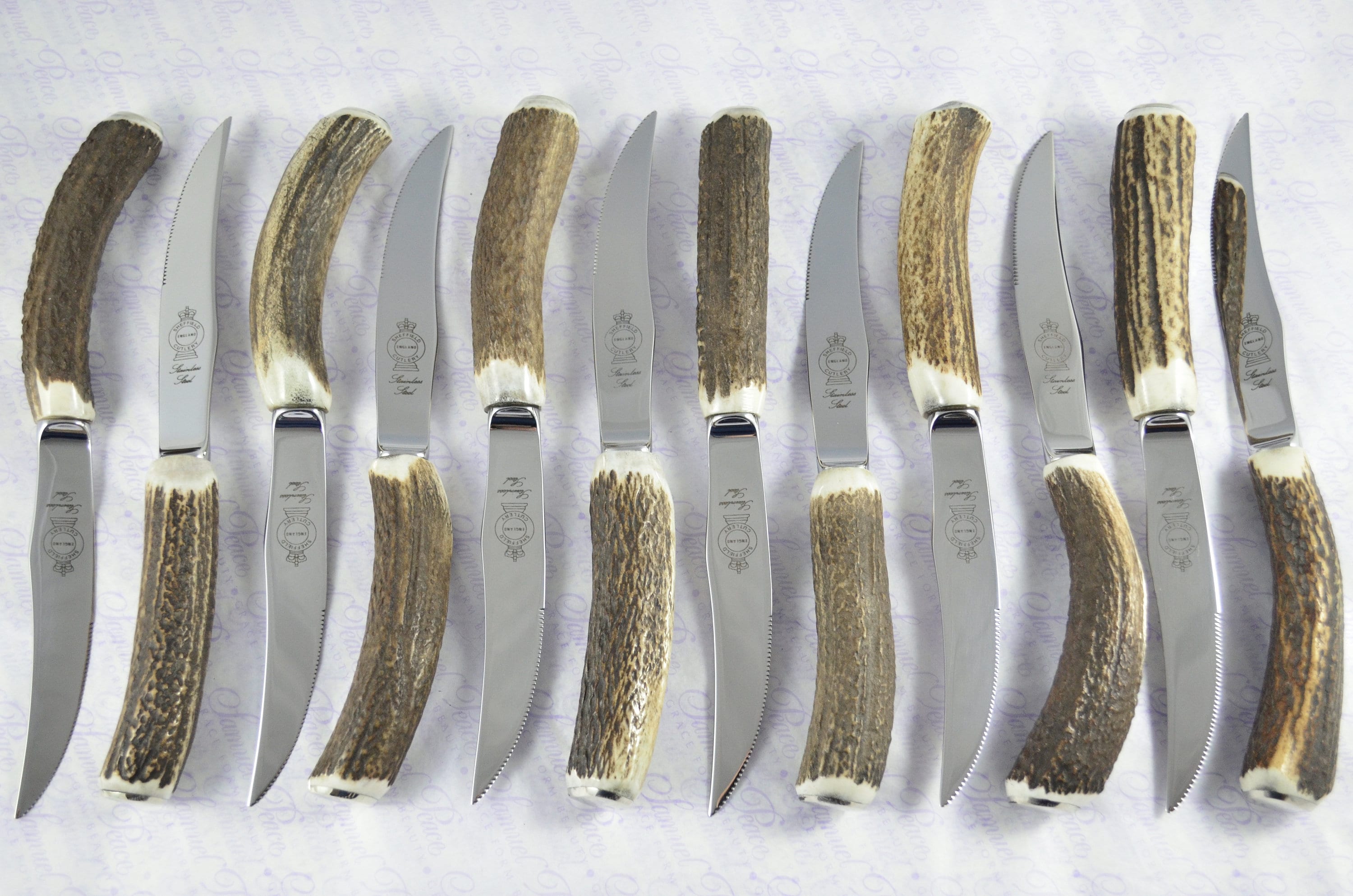 Twelve 12 Genuine Stag/antler Handle Steak Knives Presentation Box Made ...