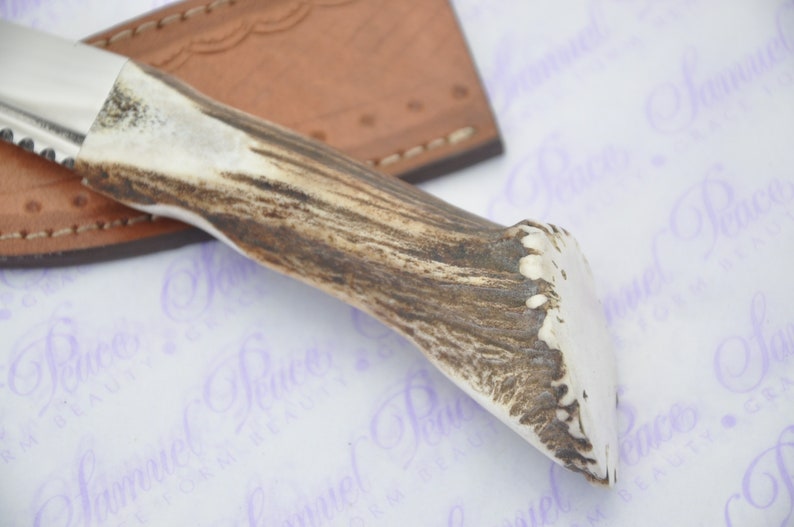 New Genuine Full Crown Stag Handle Sheffield Stainless Steel Sgian Dubh ...