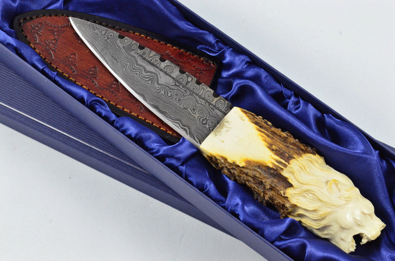 Amazing Bespoke Hand Carved Lion Stag Horn Antler Handle Sgian | Etsy UK