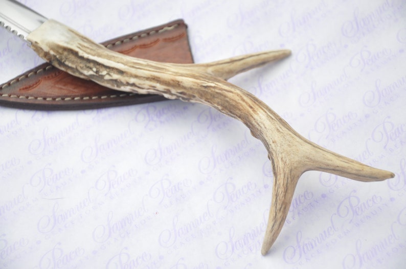 New Genuine Carbon Steel Full Roe Deer Stag Handle Sheffield | Etsy