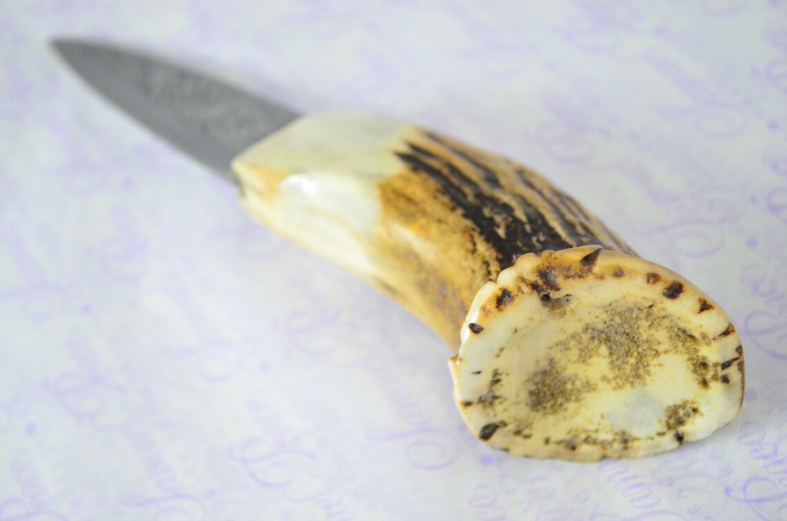 New Full Crown Genuine Sambar Stag Horn Handle Hand Engraved Carbon ...