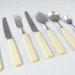 New Fantastic Genuine Cream Handle 7 Piece Place Setting - Etsy
