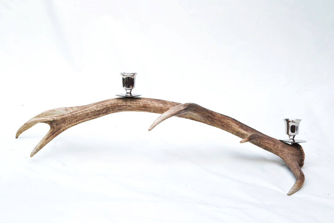 Fantastic Natural Stag Horn Antler & Chrome Plated Candelabra 2 Candle ...