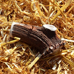 Special Dog Treat Box Deer Antler Chews for Dogs All Scottish Red Deer ...