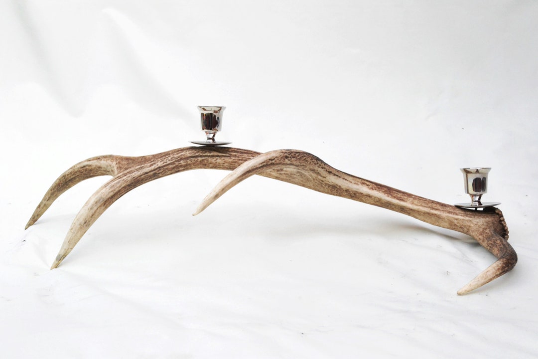 Fantastic Natural Stag Horn Antler & Chrome Plated Candelabra 2 Candle ...