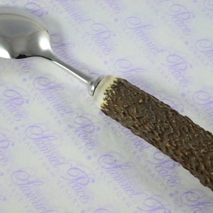 Six New Genuine Stag/antler Handle Dessert Spoons Boxed Made in ...