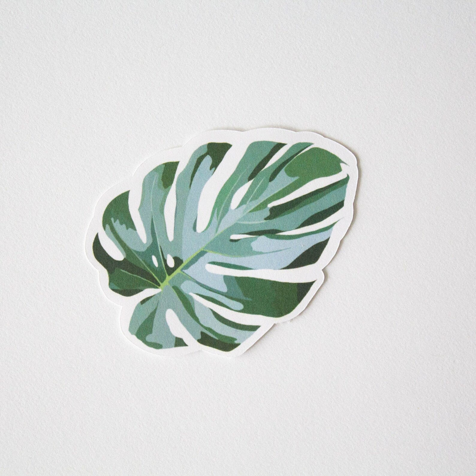 Monstera Leaf Sticker - Etsy
