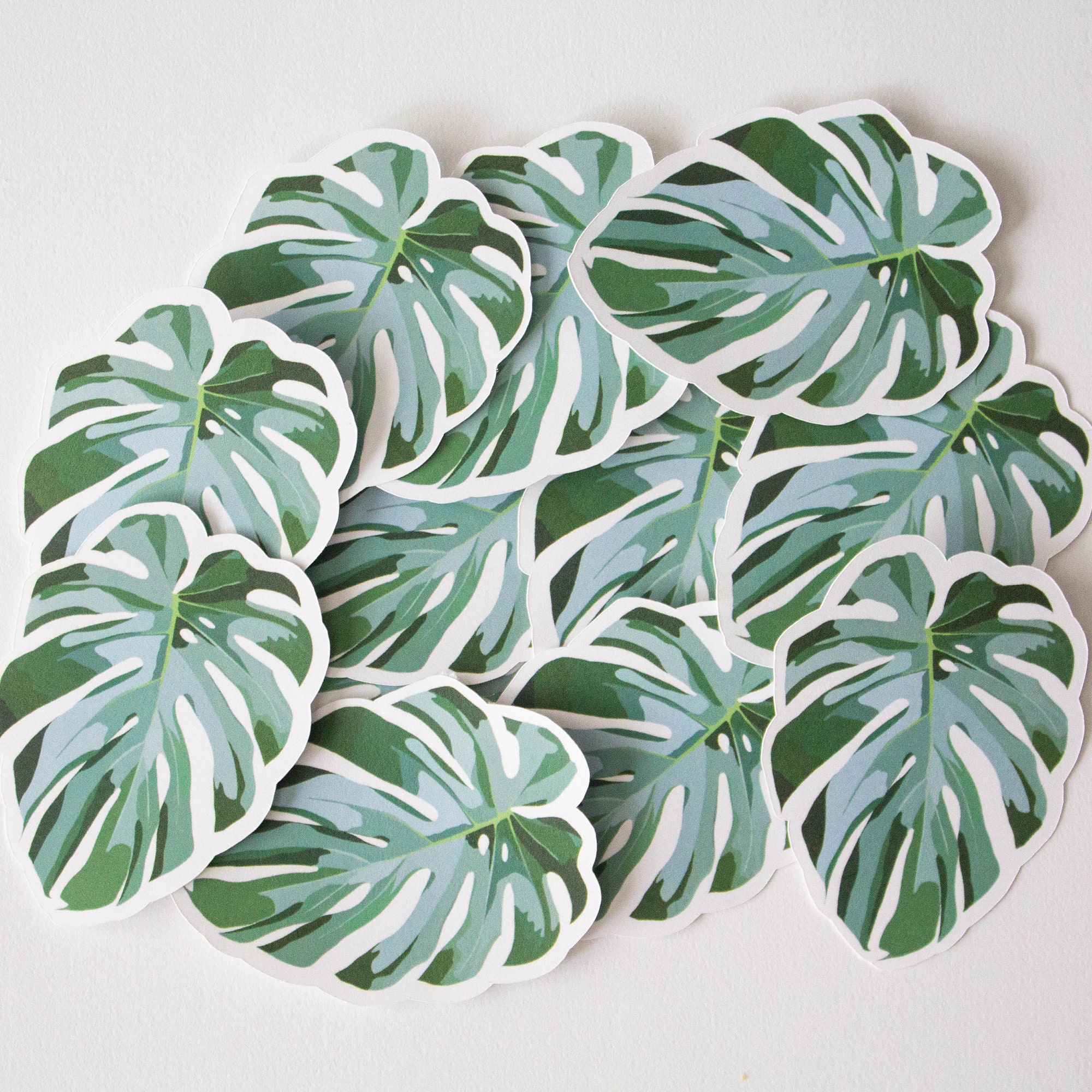 Monstera Leaf Sticker - Etsy