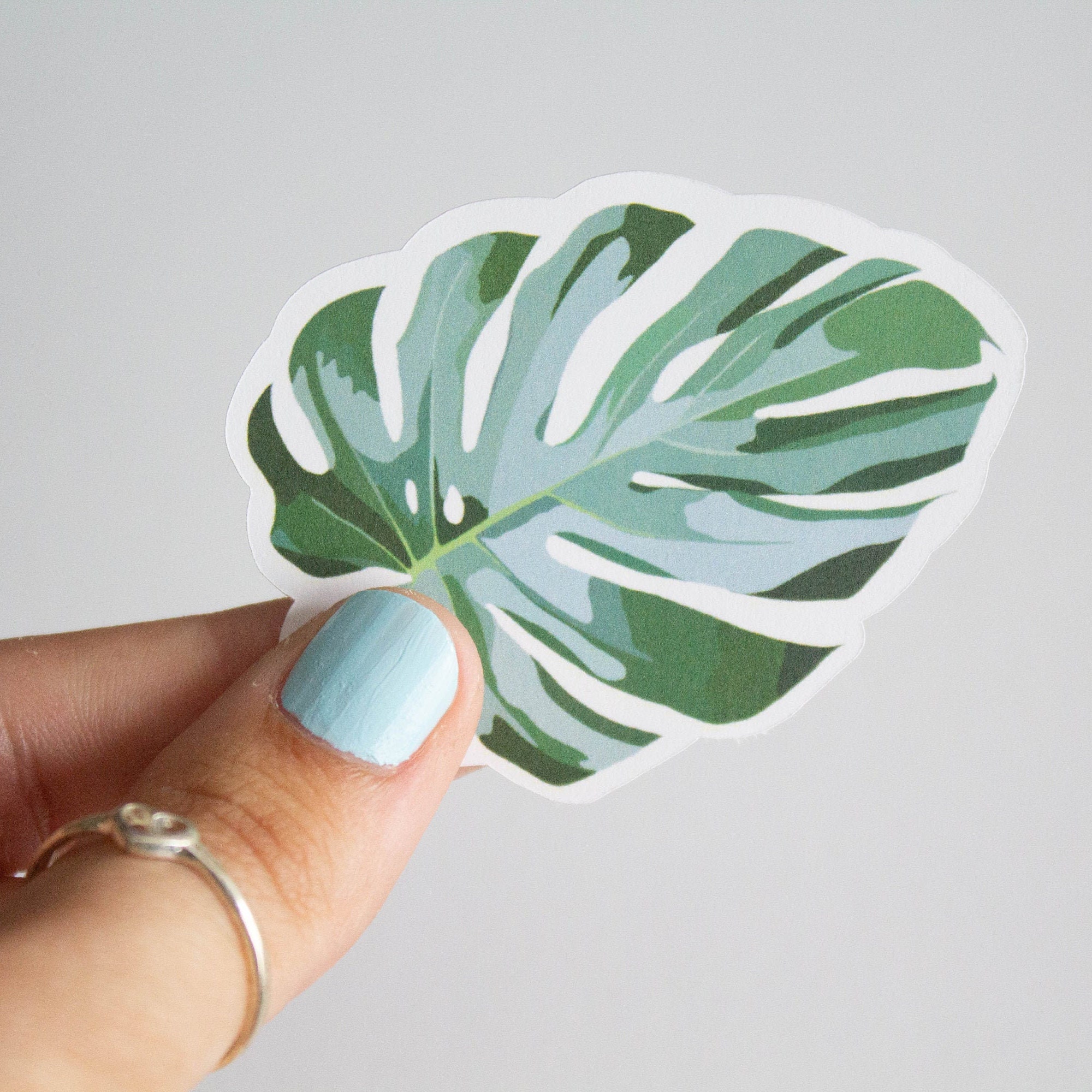 Monstera Leaf Sticker - Etsy