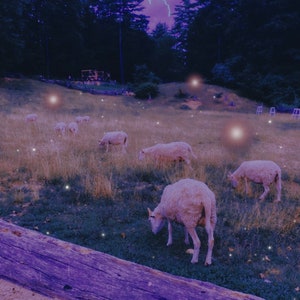 Dreamcore Sheep: Surreal Lightning & Orb Photo Print From Sturbridge ...