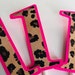 Hot Pink Leopard Cupcake Toppers, Leopard Cupcake Toppers, Cheetah ...