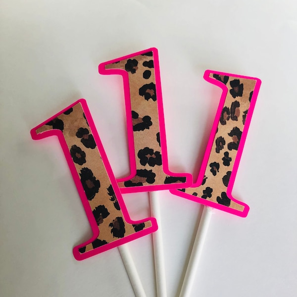 Pink Leopard Party - Etsy