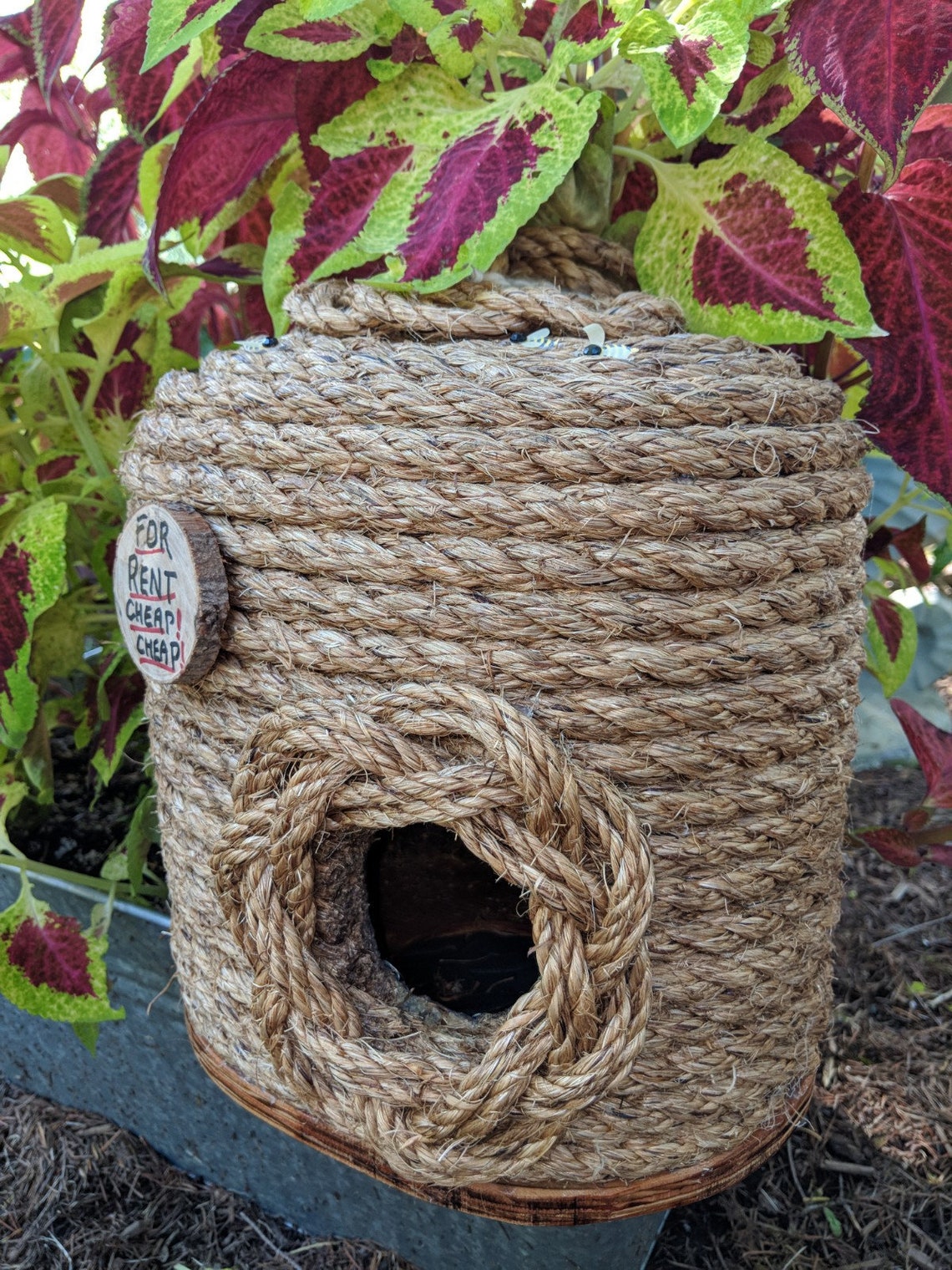 Beehive Birdhouse for American Robin - Etsy Canada