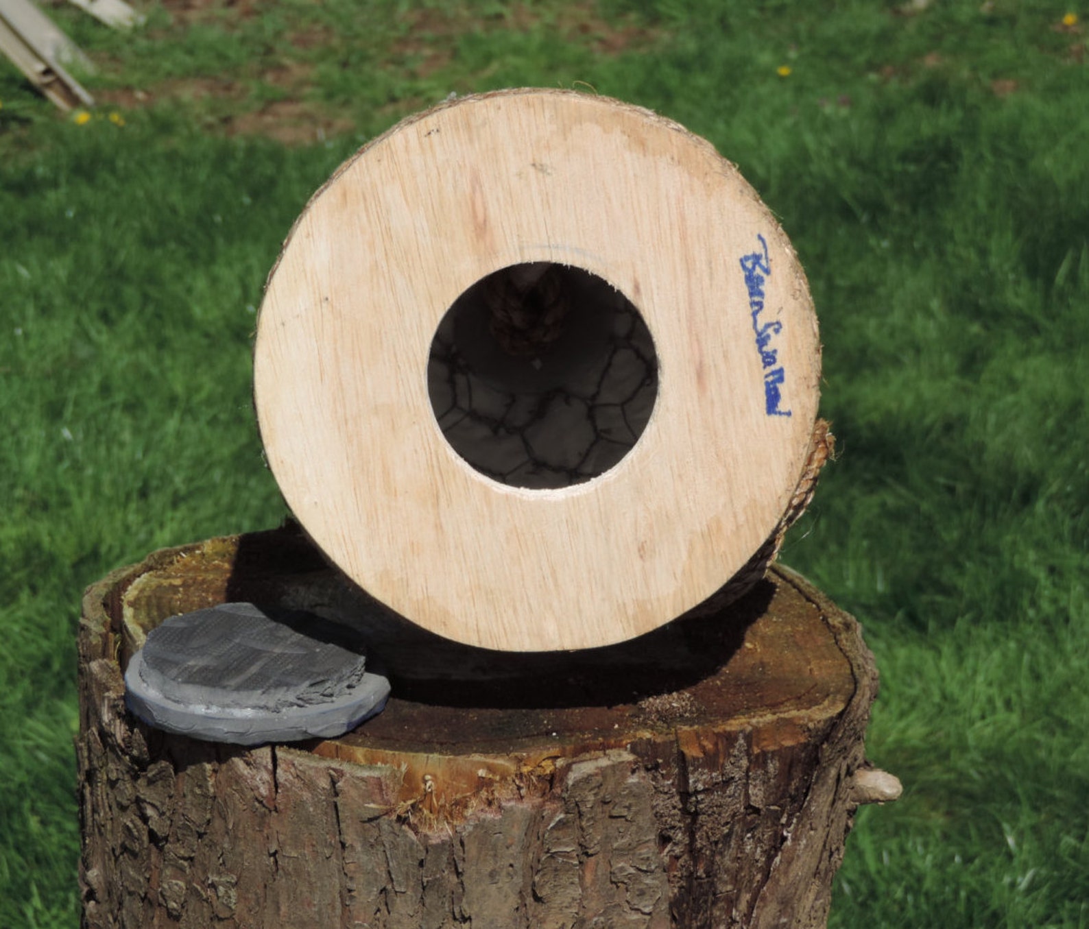 Beehive Birdhouse for American Robin - Etsy Canada