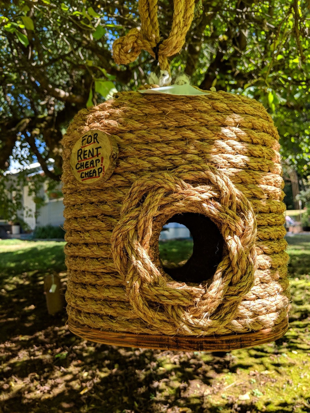 Beehive Birdhouse for American Robin - Etsy Canada
