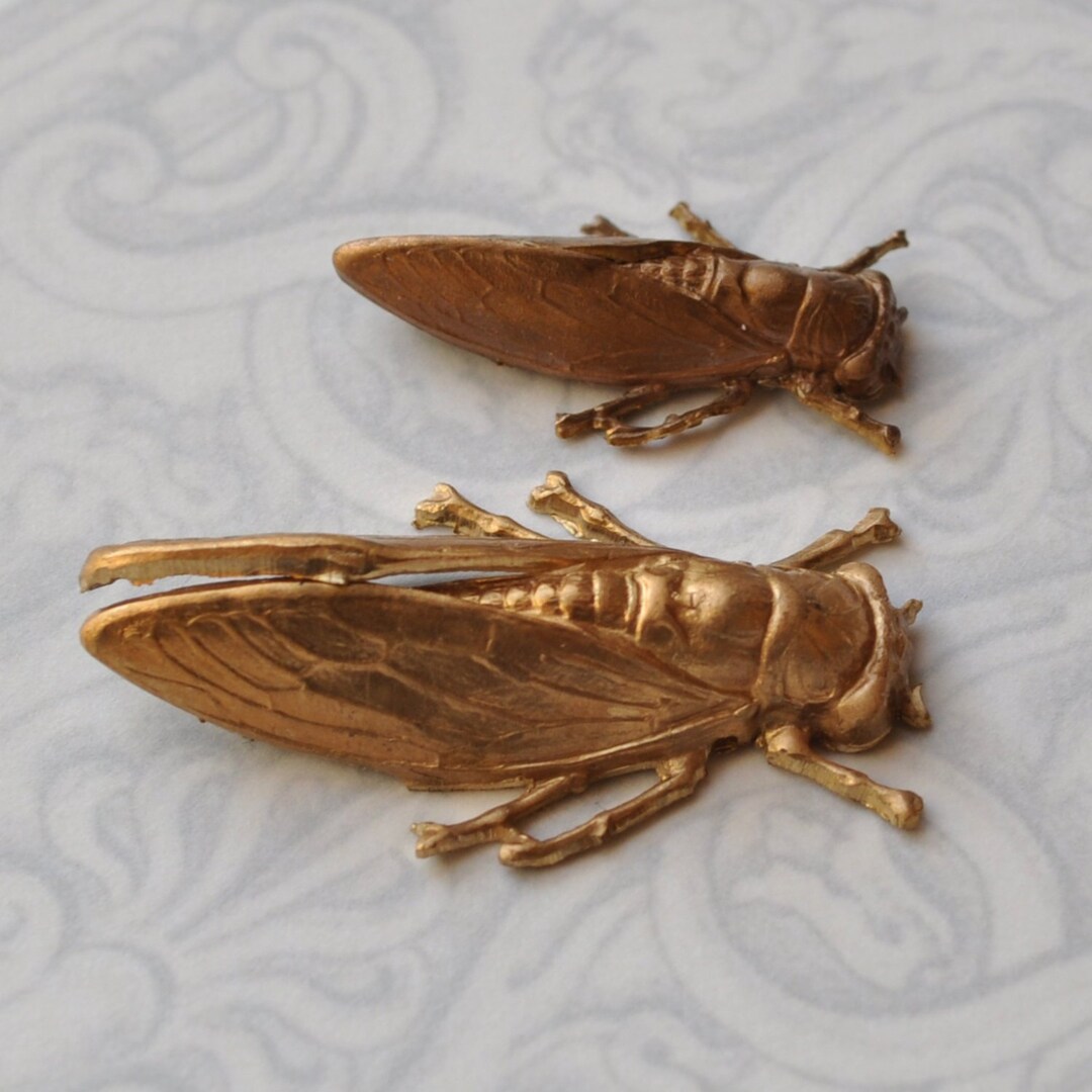 Vintage French 3D Cicada Insect Victorian Style Jewelry Finding Raw ...
