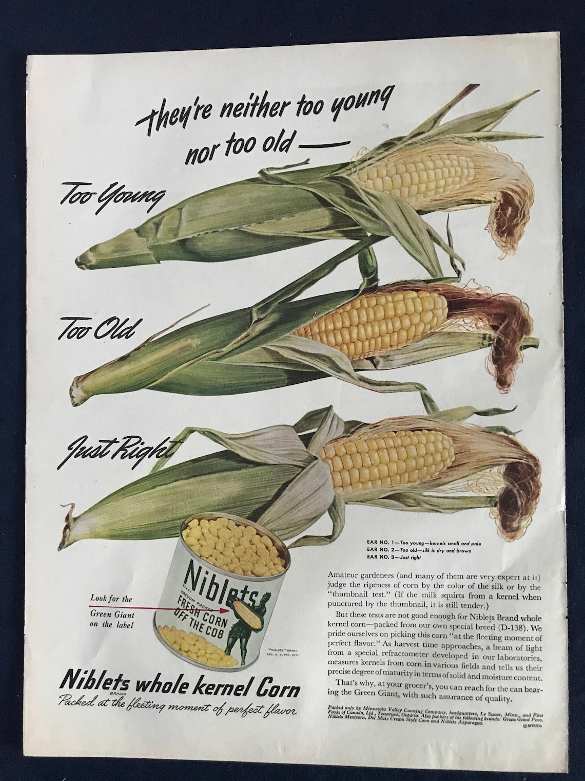 Niblets Whole Kernel Corn Ad - Etsy