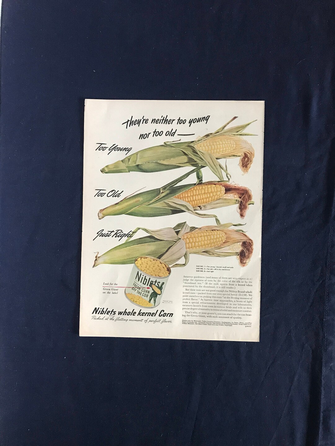 Niblets Whole Kernel Corn Ad - Etsy