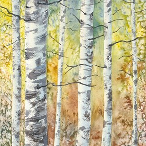 Birch Trees Card - Greeting Card - Fall Birch - Trees - Nature - Watercolour - Birch Lovers ...