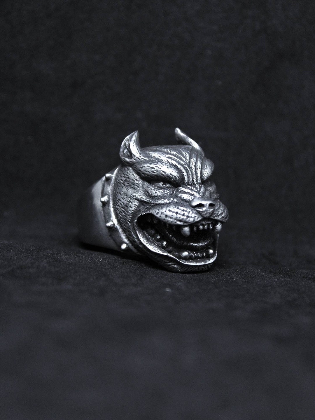 Pitbull Ring, Dog Ring, Animal Ring, American Bully, Guard Dogs, Animal ...