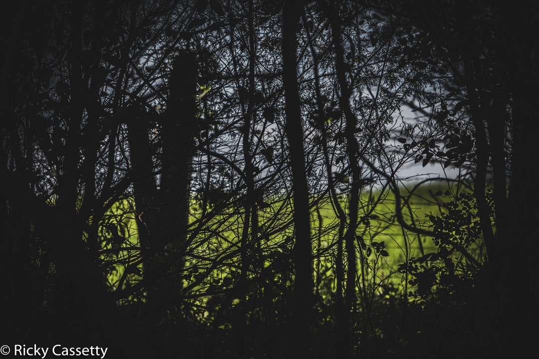 Tree Line Print - Etsy