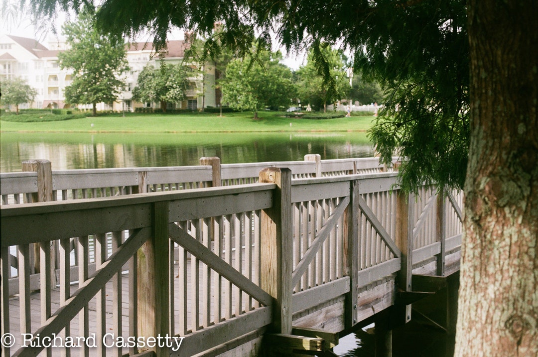 Disney Bridge Film - Etsy