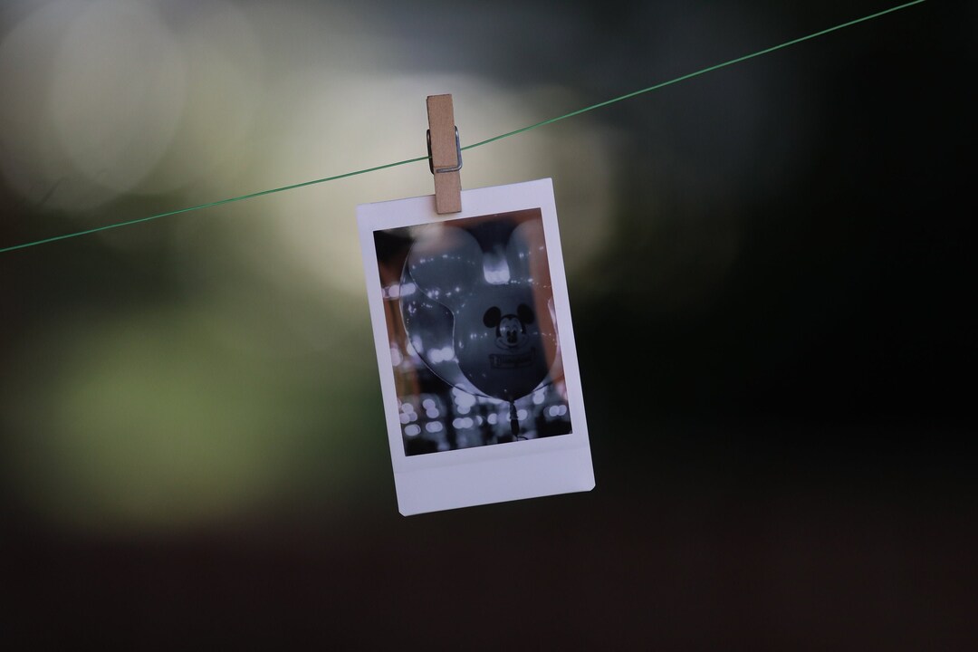 Disneyland Print - Etsy