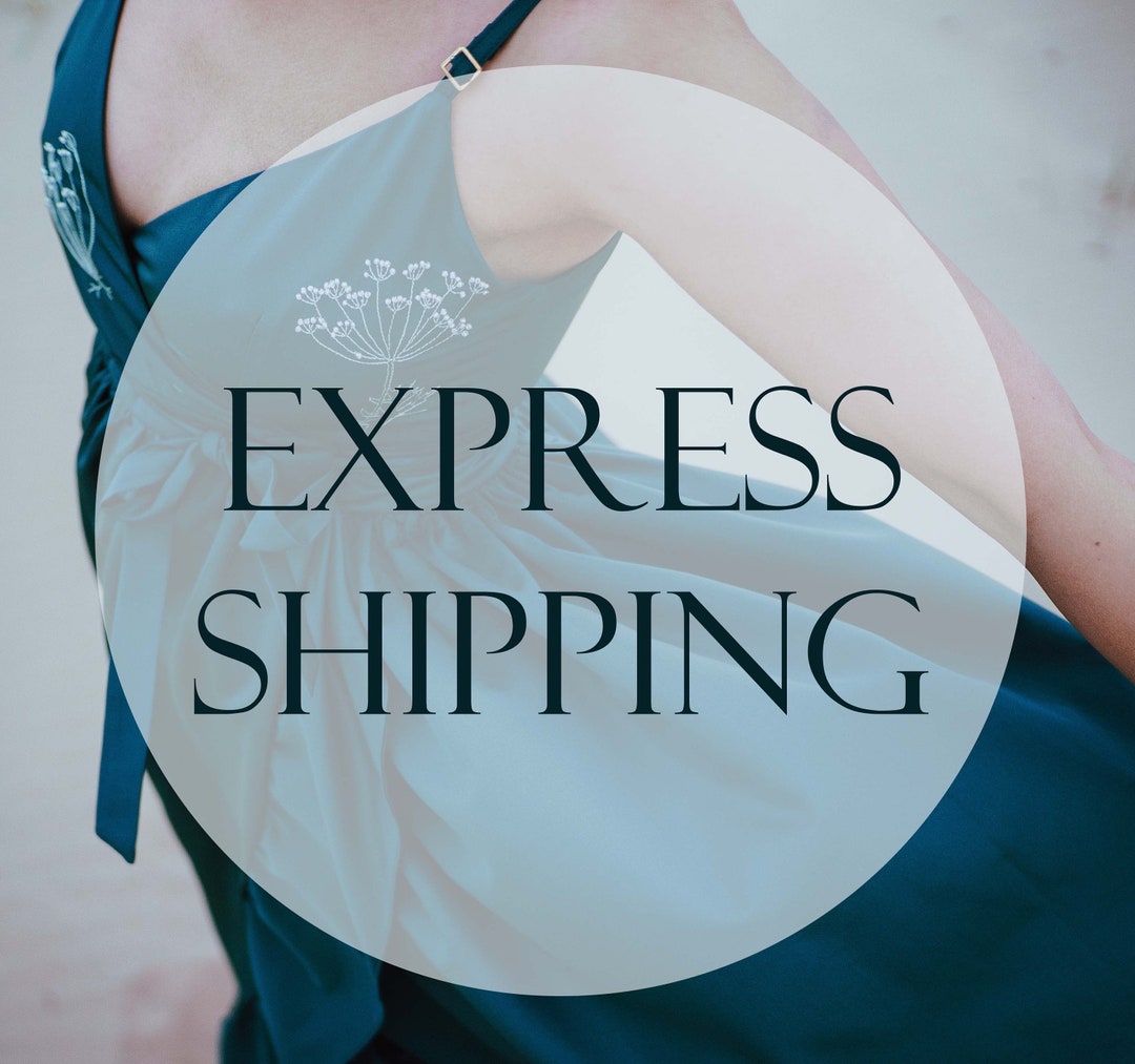 Express Delivery Worldwide Express Shipping Fast Delivery Rush Shipping ...