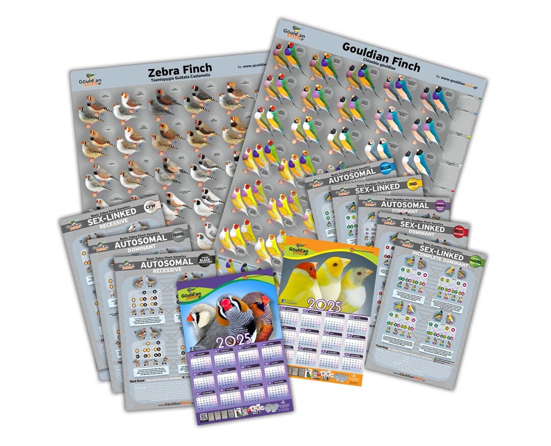 Gouldian and Zebra Finch Mutation and Genetics Posters With 2 Calendars ...