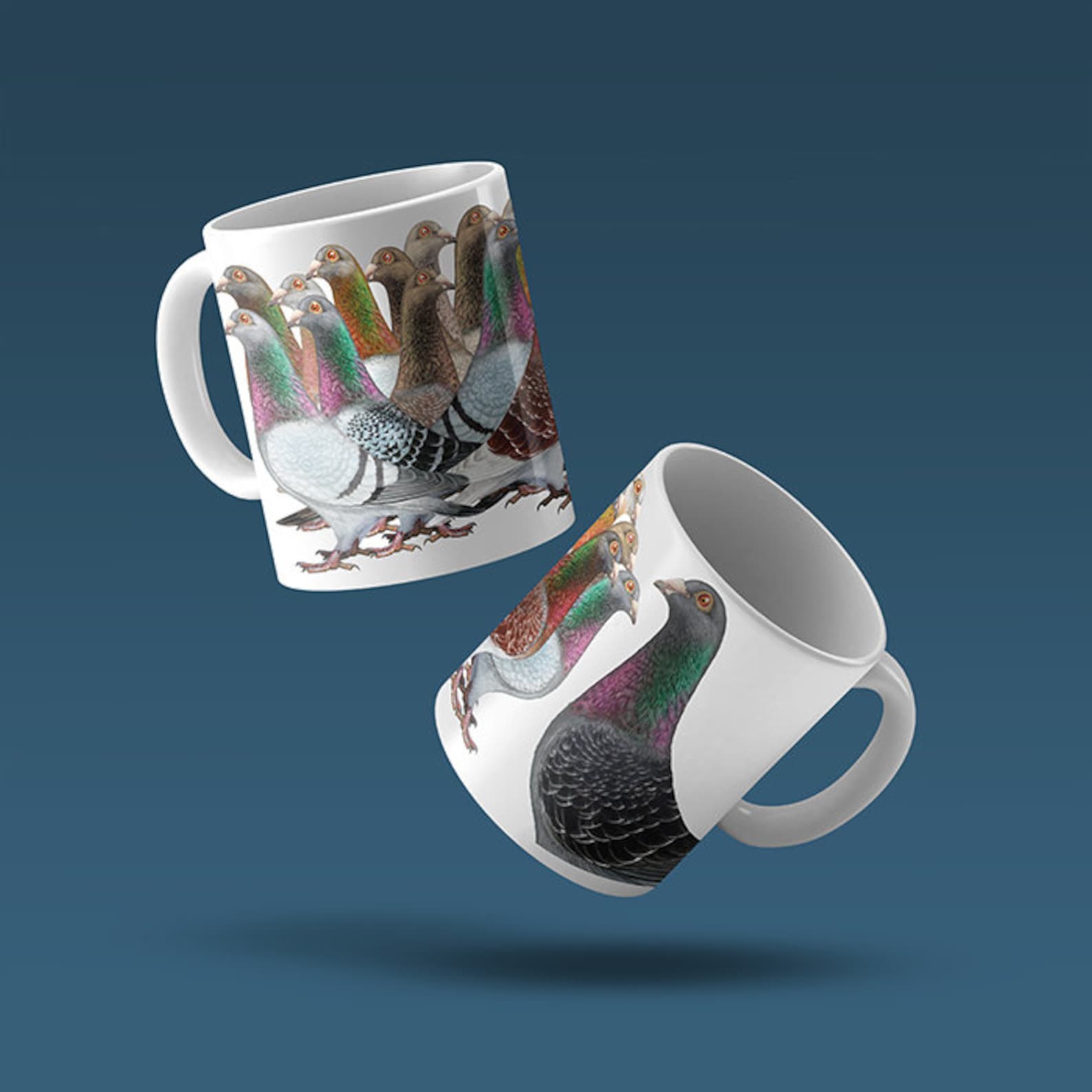 Pigeon Breeds Mug: Racer, Fancy, Archangel, Lahore Designs - Etsy