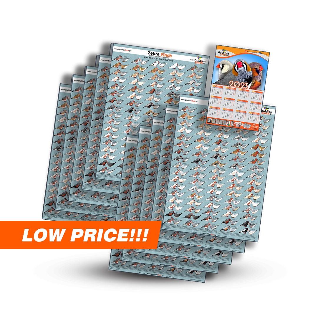 Zebra Finch Mutations Poster
